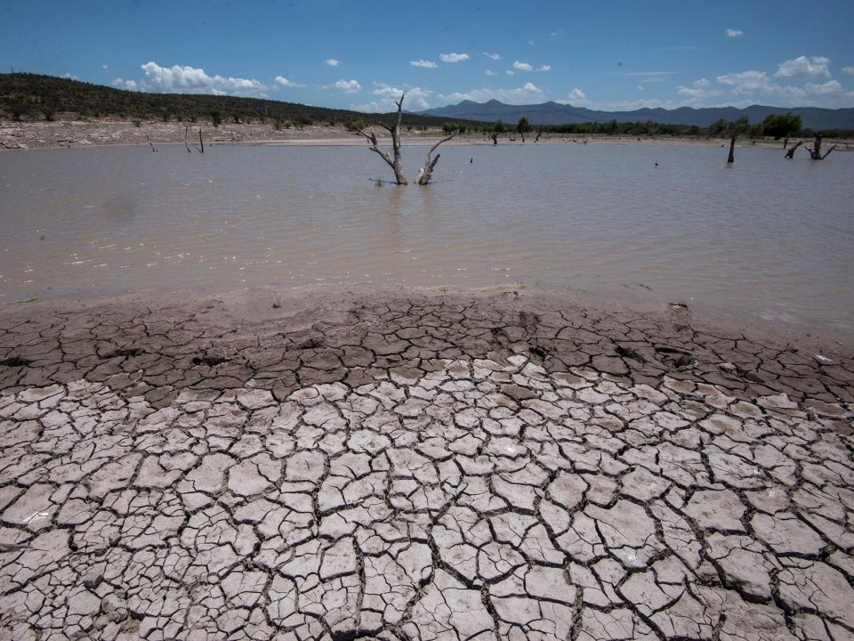 Urgen Atender Emergencia Climática Y Pérdida De Biodiversidad En México