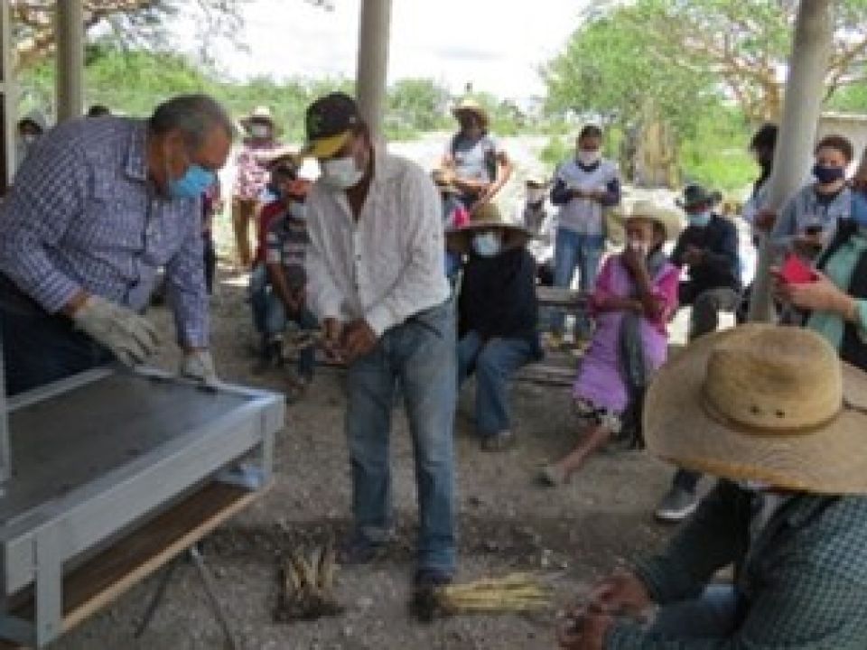 conanp.jpeg | PortalAmbiental.com.mx conanp.jpeg | PortalAmbiental.com.mx