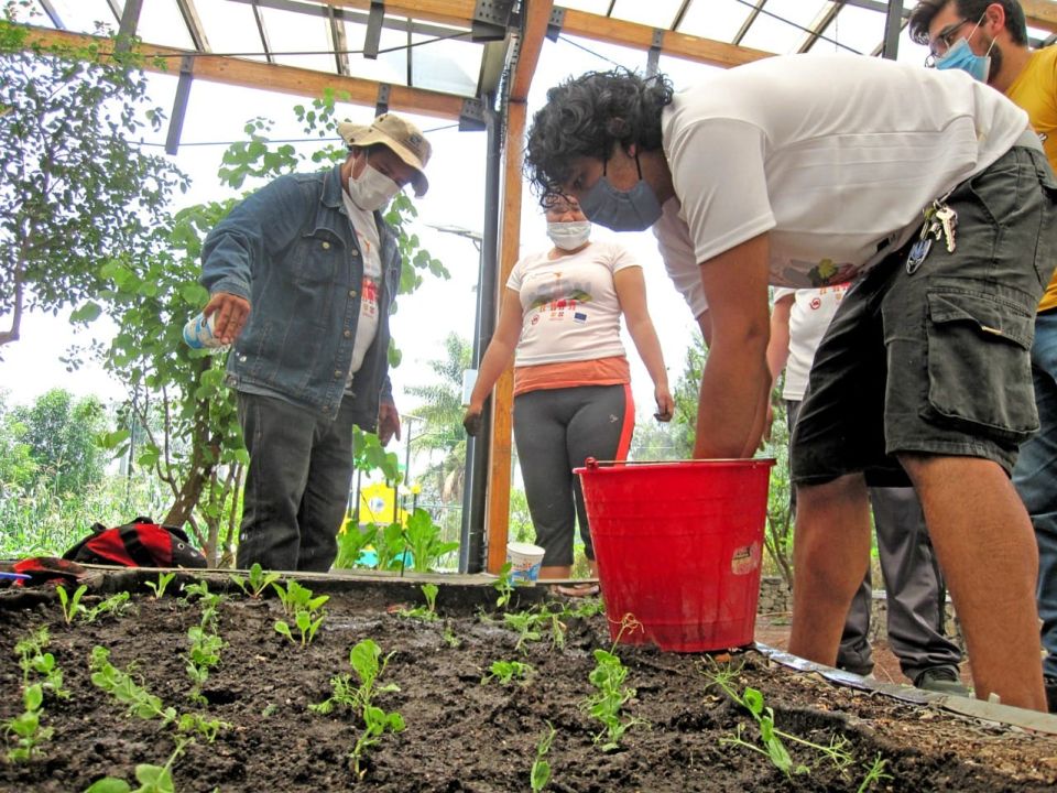Resaltan Beneficios De Huertos Urbanos Para Construir Comunidad En La