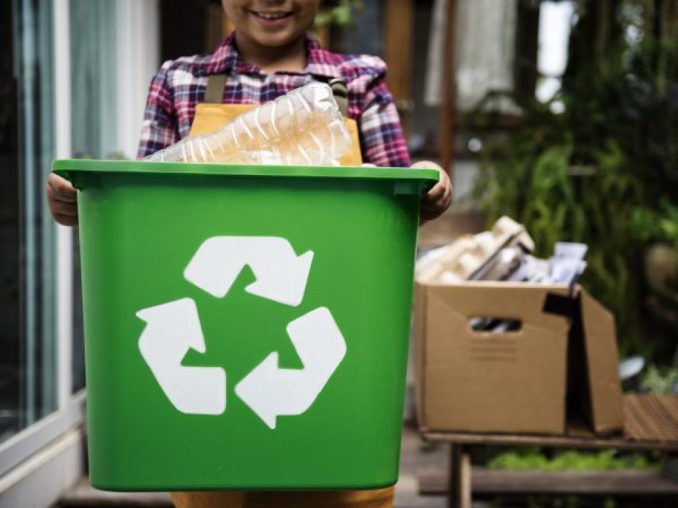 ¿cómo Cuidar El Medio Ambiente Desde La Escuela En Este Regreso A