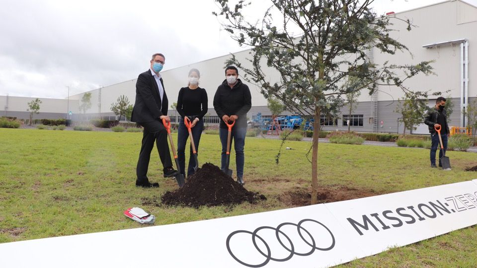 Audi México Plantará Mil 250 árboles En Sus Instalaciones